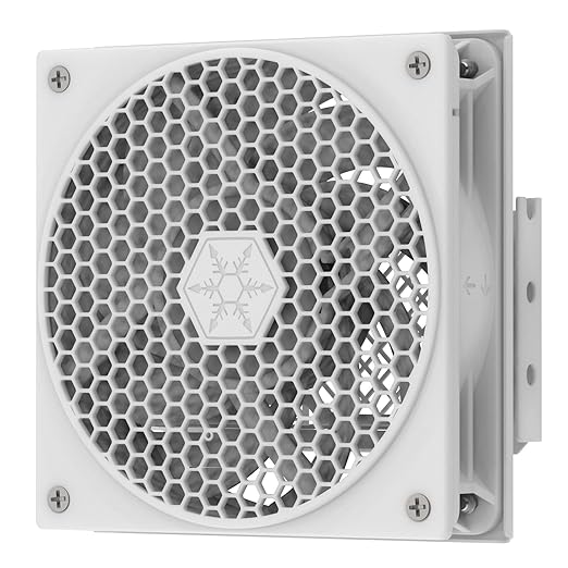 Buy SilverStone Technology FDP02 White Colored External GPU Cooling Fan ...